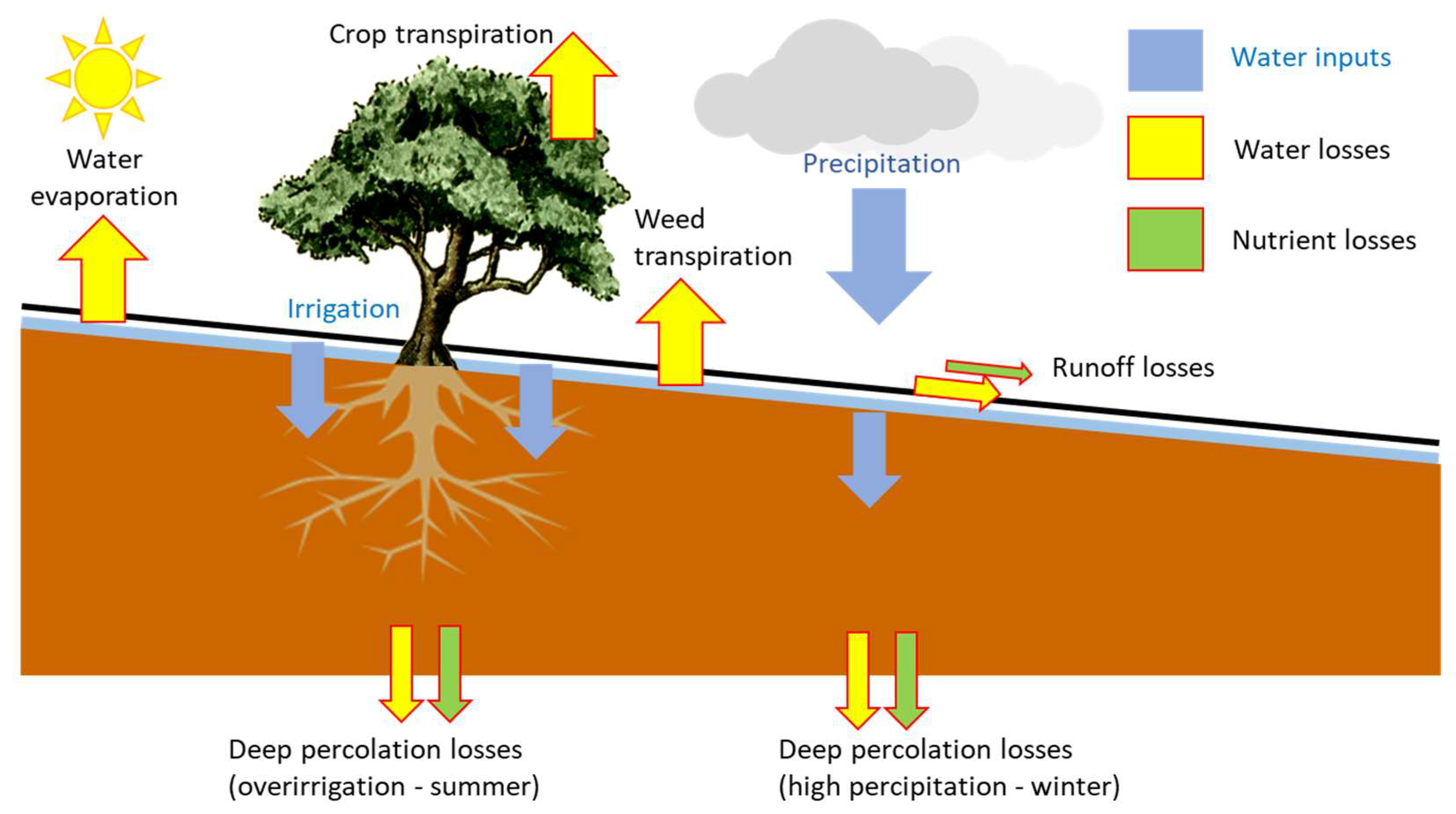 Sustainability | Free Full-Text | Good Agricultural Practices Related ...