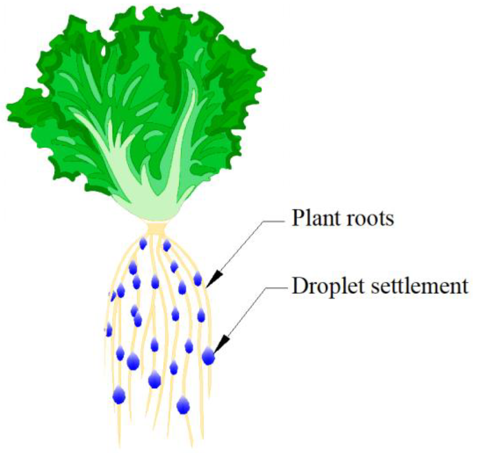Sustainable Soilless Cultivation Mode: Cultivation Study on Droplet ...