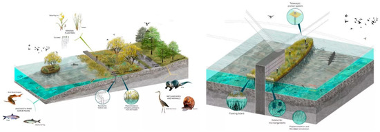 Sustainability | Free Full-Text | The Impact of Urban Development on ...