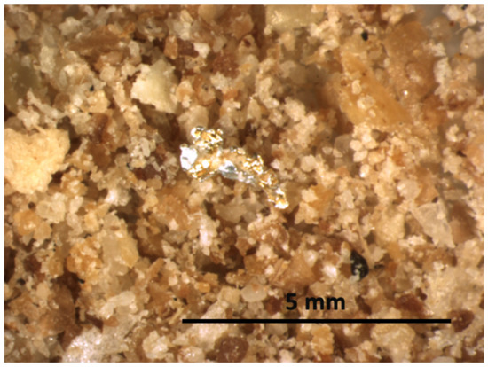 Former Foodstuff Products (FFPs) as Circular Feed: Types of Packaging ...