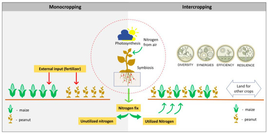 Climate Change, Food Security, and Health: Harnessing Agroecology to ...