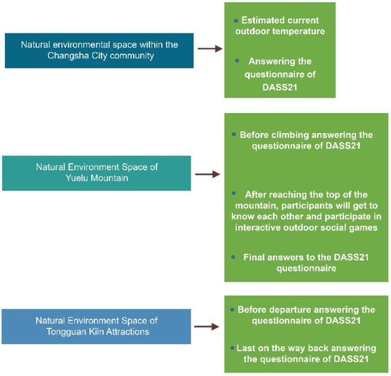The Effects of Exercise and Social Interaction in Different Natural ...