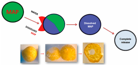 Innovative Phosphate Fertilizer Technologies to Improve Phosphorus Use ...