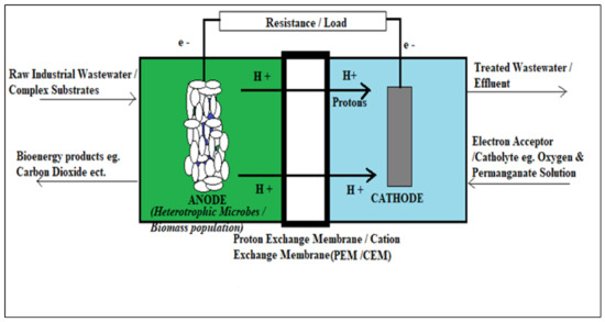Microbial Fuel Cells for Electrical Energy: Outlook on Scaling-Up and Application Possibilities ...