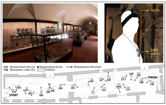 Sustainability | Free Full-Text | Perception of Light in Museum ...