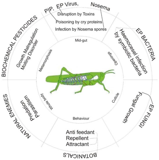 The Potential and Green Chemistry Attributes of Biopesticides for ...