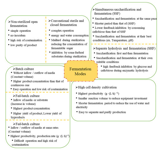 Lactic Acid Production by Fermentation of Biomass: Recent Achievements ...