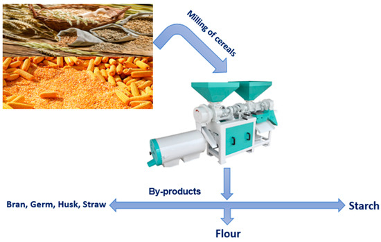 A Retrospective on the Innovative Sustainable Valorization of Cereal Bran in the Context of ...