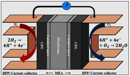 Fuel Cell Types, Properties of Membrane, and Operating Conditions: A Review