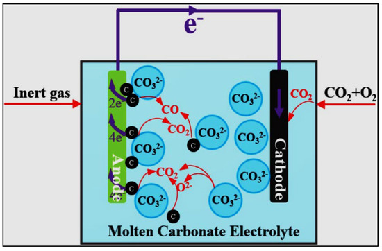 Fuel Cell Types, Properties of Membrane, and Operating Conditions: A Review