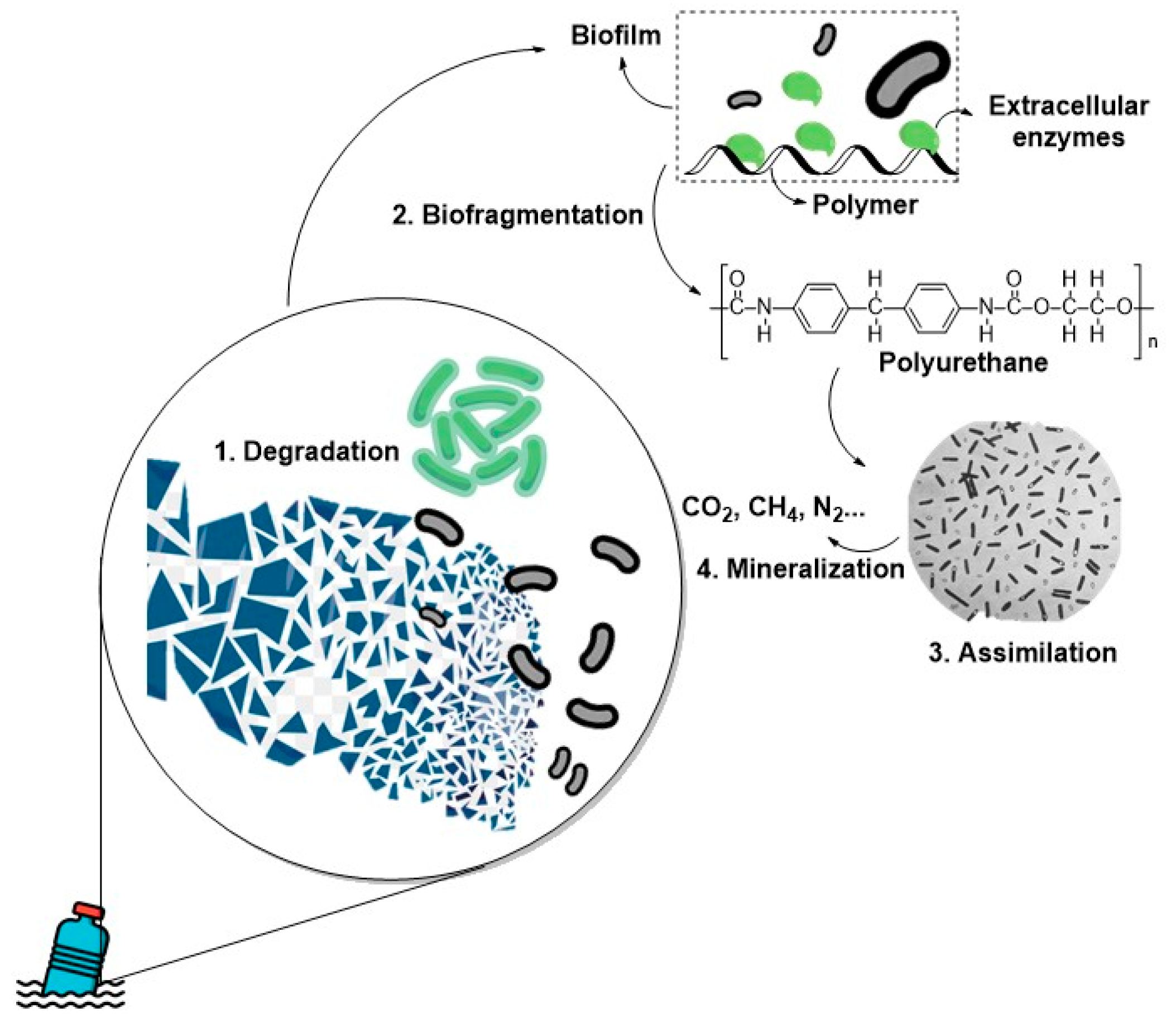 Microplastics’ and Nanoplastics’ Interactions with Microorganisms: A Bibliometric Study