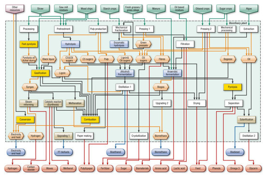 Sewage Sludge Biorefinery for Circular Economy