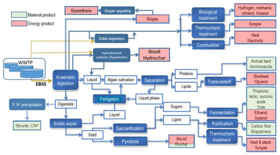 Sewage Sludge Biorefinery for Circular Economy