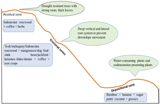 Agroforestry Systems for Soil Health Improvement and Maintenance