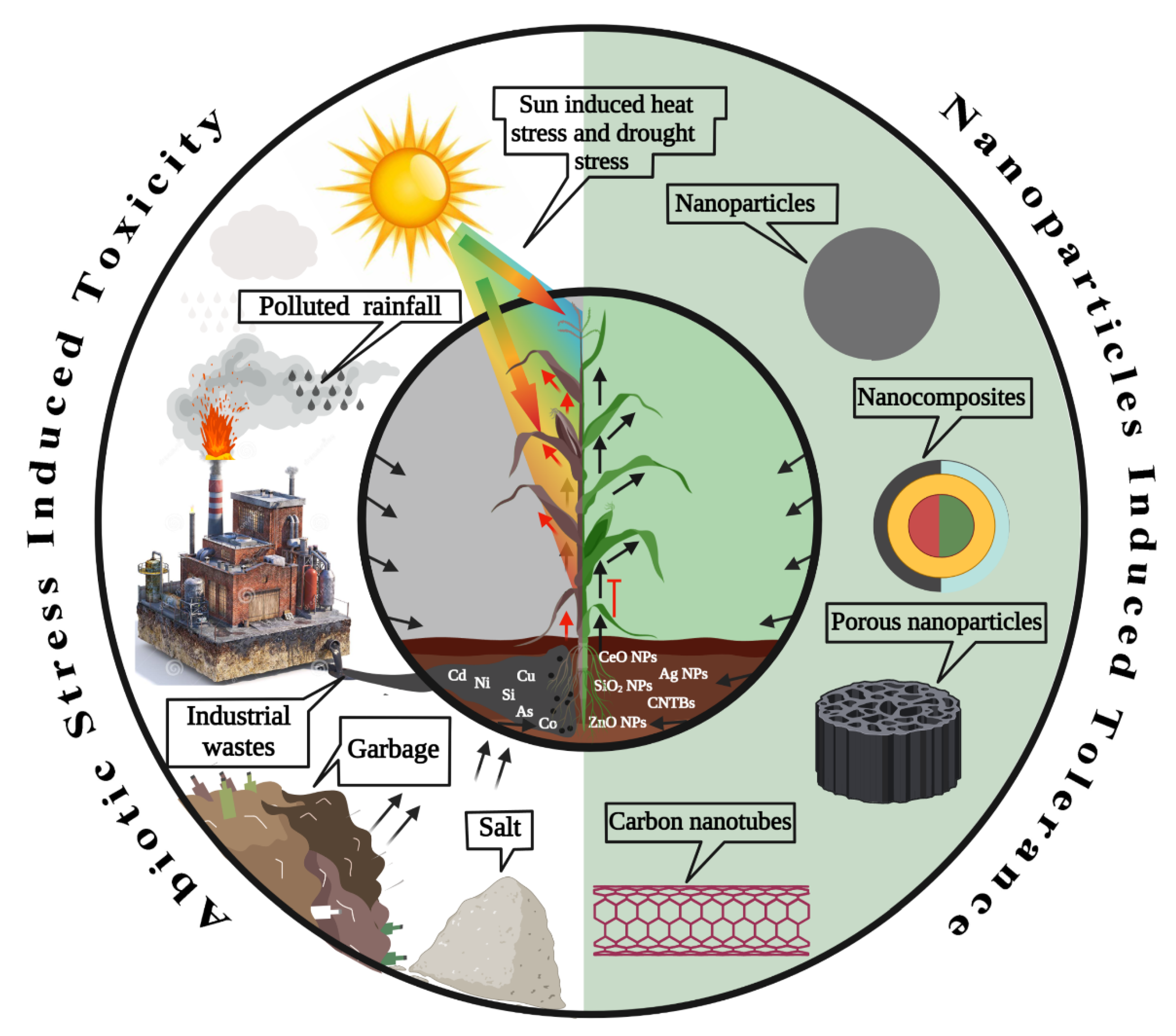 Sustainability Free Full Text Nano Priming Against Abiotic Stress