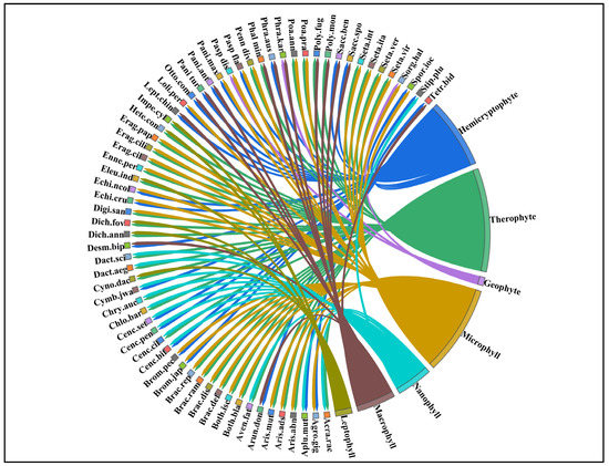 Sustainability | Free Full-Text | Grasses in Semi-Arid Lowlands ...