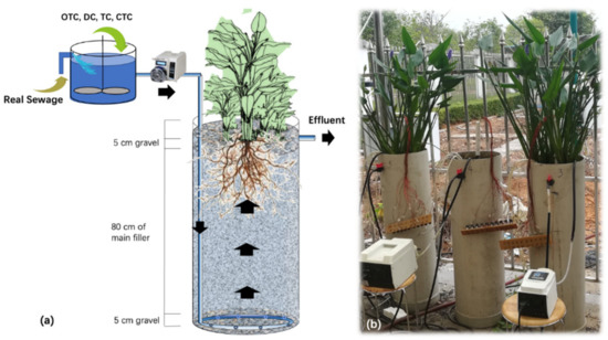 Constructed Wetlands as Nature-Based Solutions for the Removal of ...