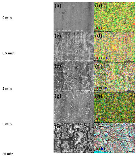 Cerium Compounds Coating as a Single Self-Healing Layer for Corrosion ...