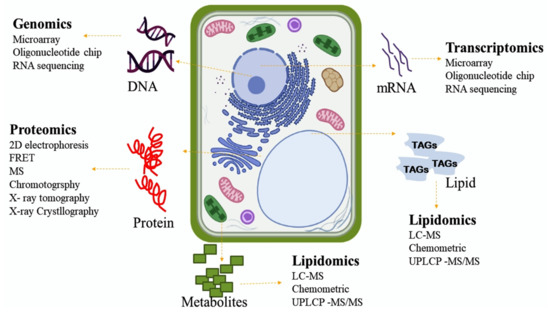 Sustainability | Free Full-Text | Microalgae Biomass and Lipids as Feedstock for Biofuels ...