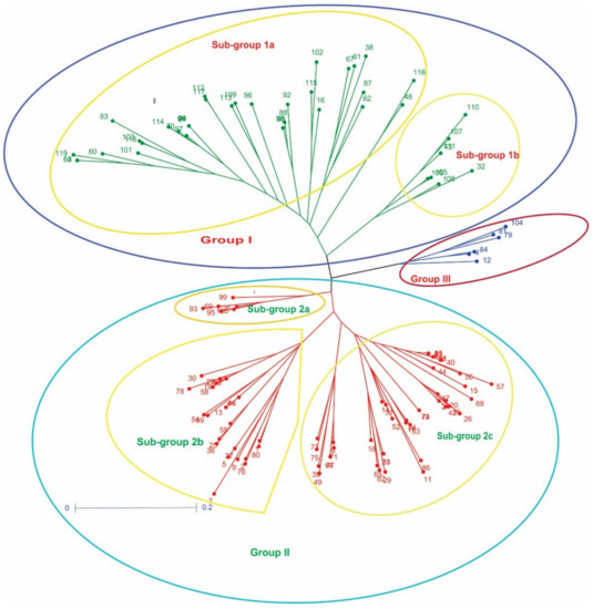 Genetic Characterization and Population Structure of Pea (Pisum sativum ...