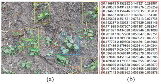 Sustainability | Free Full-Text | Real-Time Detection of Seedling Maize Weeds in Sustainable ...