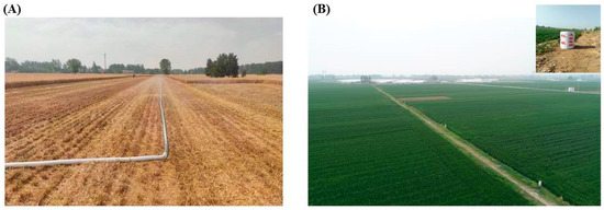 Biogas Slurry as an Alternative to Chemical Fertilizer: Changes in Soil ...