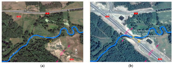 Identification of the Key Determinants of Bats’ Altitude Increase over ...