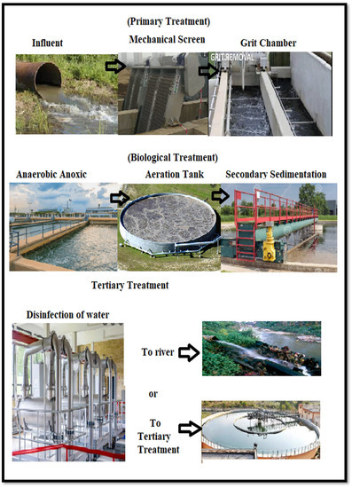 Smart Modelling of a Sustainable Biological Wastewater Treatment ...