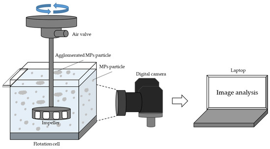 Agglomeration–Flotation of Microplastics Using Kerosene as Bridging ...