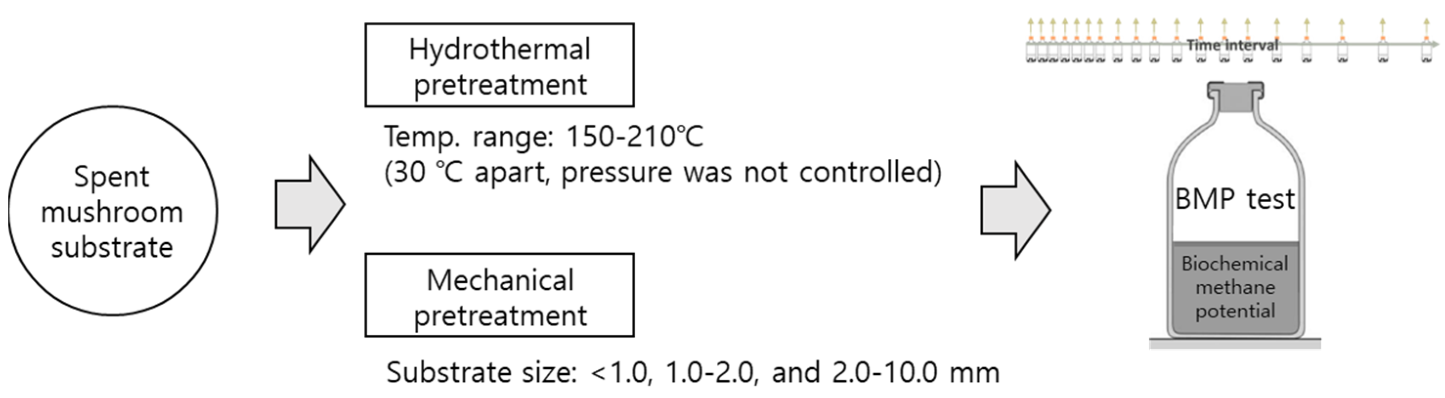 Influence of Different Pretreatment Methods and Conditions on the ...