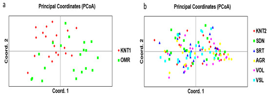 Morphology and Genetic Structure Profile of Farmed Snails Cornu ...