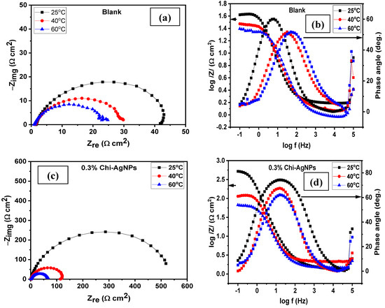 Sustainability | Free Full-Text | Corrosion Inhibition of Rumex ...