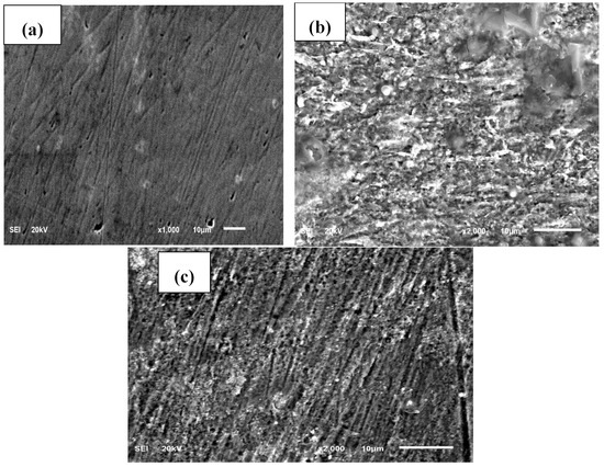 Sustainability | Free Full-Text | Corrosion Inhibition of Rumex ...