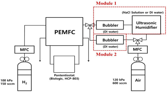 Effects of Humidification with NaCl Solution Mist on Electrochemical ...