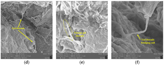 An Investigation on the Potential of Cellulose for Soil Stabilization