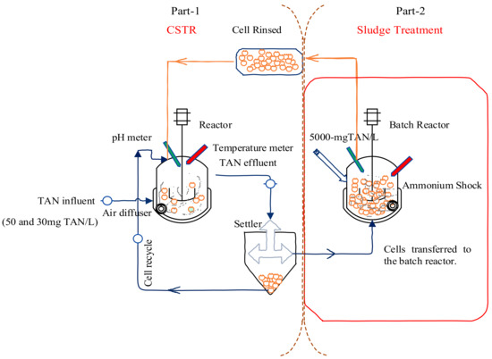 Nitrite Accumulation at Low Ammonia Concentrations in Wastewater ...