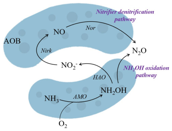 The Summary of Nitritation Process in Mainstream Wastewater Treatment