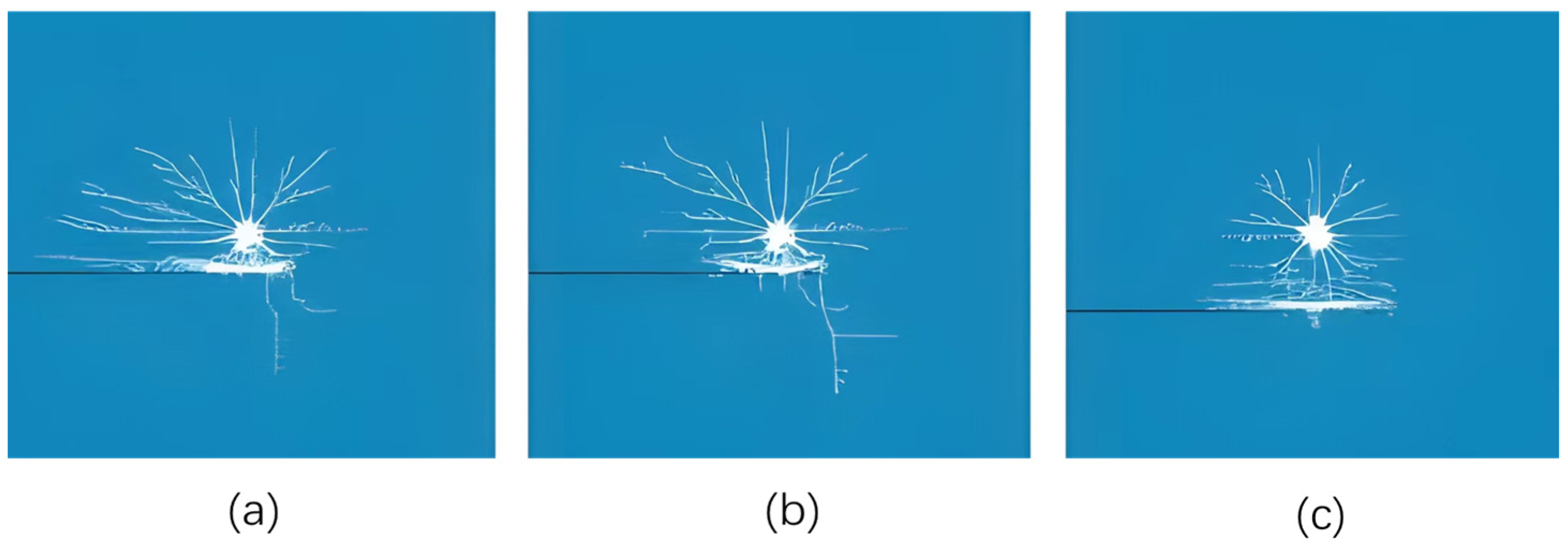 Study on Blasting Effect Optimization to Promote Sustainable Mining ...