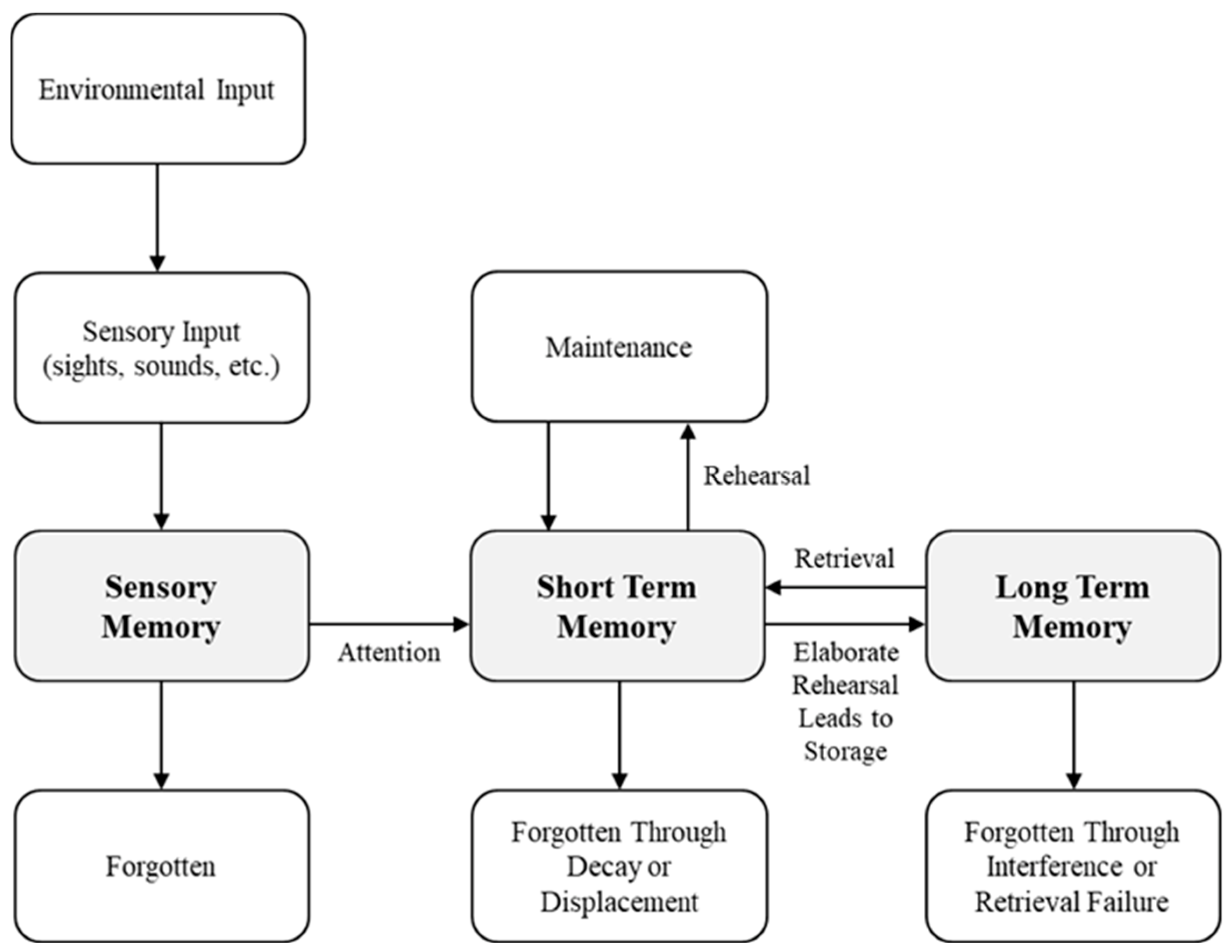 Assessment of Wayfinding Performance in Complex Healthcare Facilities: A Conceptual Framework