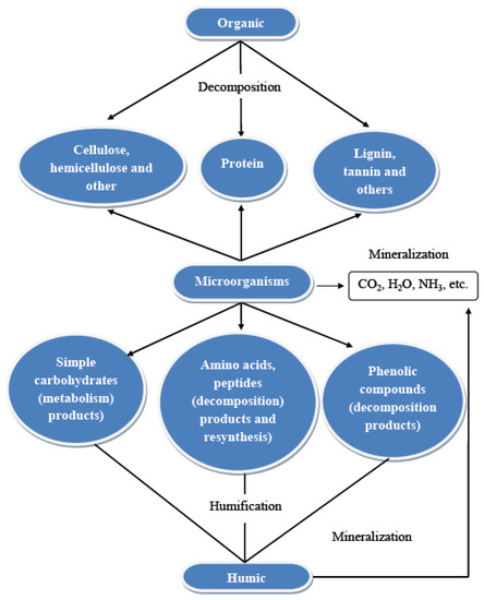 Potential Use of Cow Manure for Poly(Lactic Acid) Production
