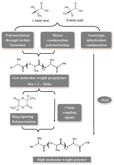 Potential Use of Cow Manure for Poly(Lactic Acid) Production