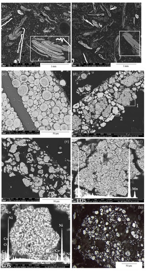 Characterization and Thermal Treatment of the Black Mass from Spent Lithium-Ion Batteries