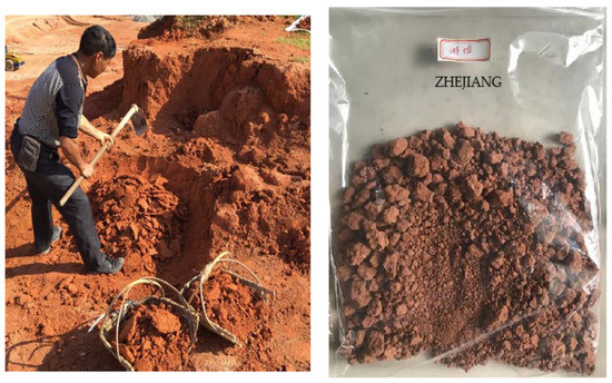 Experiments and Modeling of the Attenuation of the Dynamic Elastic ...