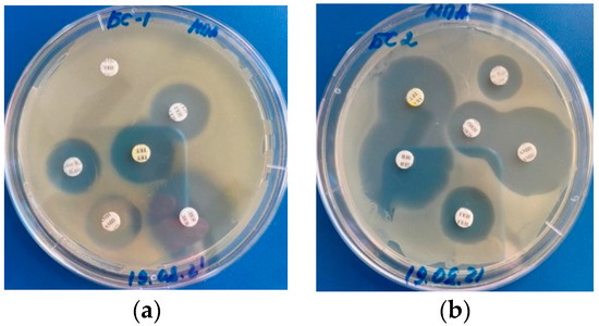 Selection of Active Microorganism Strains Isolated from a Naturally ...