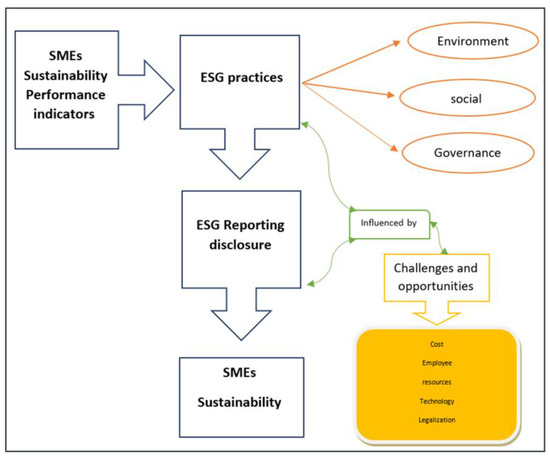 Environmental, Social and Governance (ESG) Disclosure and the Small and Medium Enterprises (SMEs ...