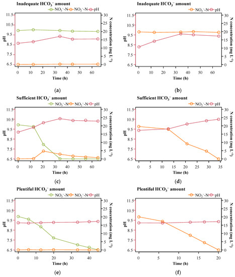 Thauera sp. in Hydrogen-Based Denitrification: Effects of Plentiful ...