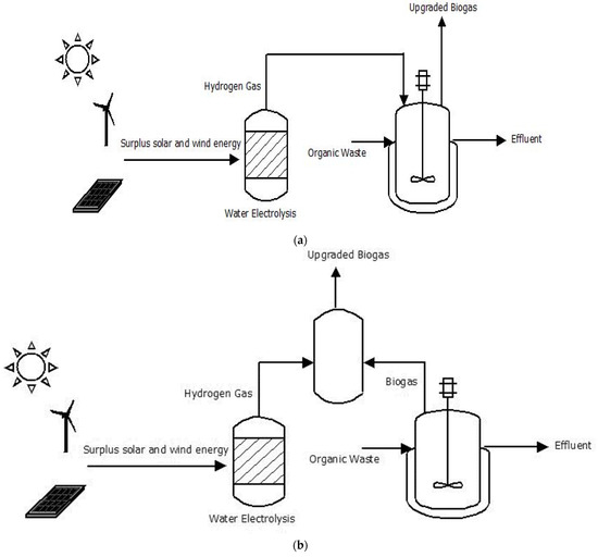 Recent Development in Physical, Chemical, Biological and Hybrid Biogas ...