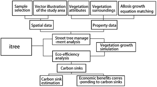 Calculation and Optimization of the Carbon Sink Benefits of Green Space ...