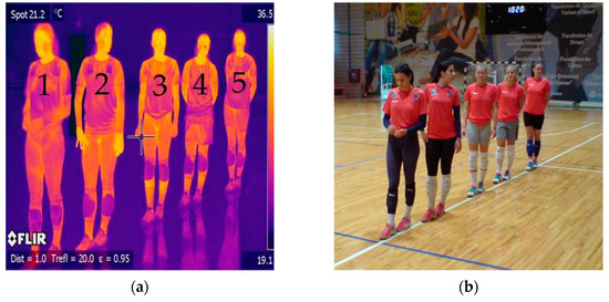 Thermal Transfer Analysis for Sports Footwear, for Performance Athletes ...