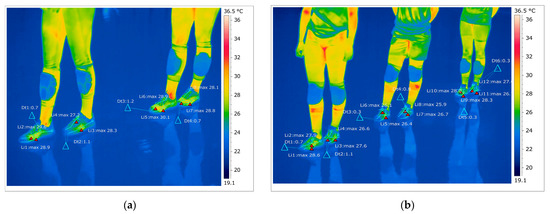Thermal Transfer Analysis for Sports Footwear, for Performance Athletes ...
